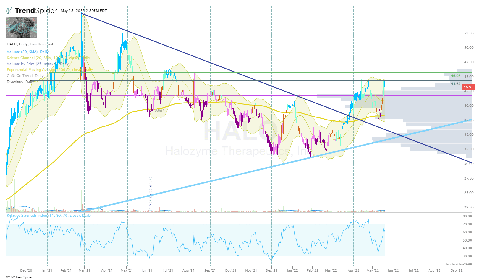 HALO,Daily Candlestick chart published by Biologics on TrendSpider