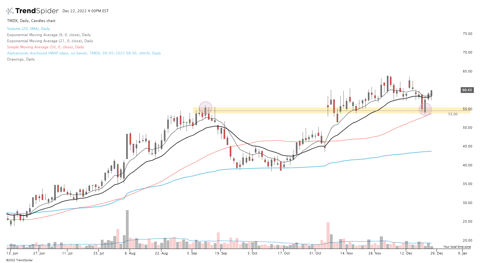 TMDX,Daily Candlestick chart published by Javier on TrendSpider